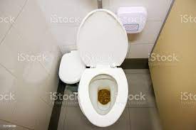 ¿WC atascado por heces? Aprende cómo solucionarlo sin llamar a un ...